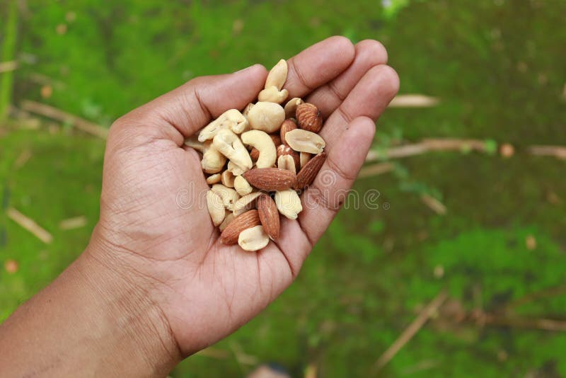 Top View of Many Mixed Nuts on Hand Stock Image - Image of nutrition ...