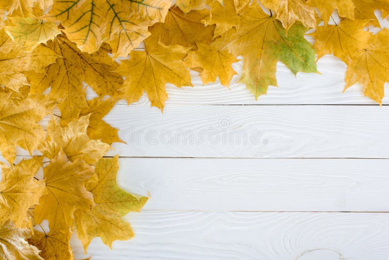Top View of Maple Leaves on Wooden Stock Image - Image of autumn, table ...