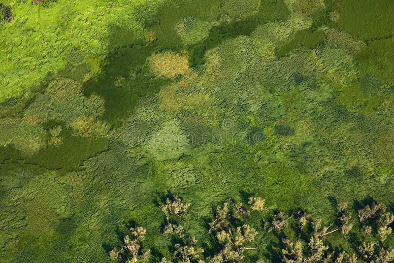 Stream on a Meadow, Top View Stock Photo - Image of field, agriculture ...