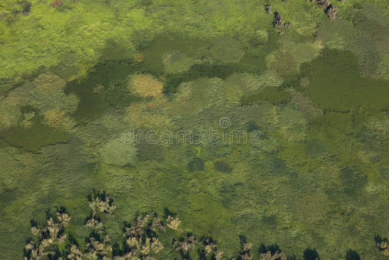 Stream on a Meadow, Top View Stock Photo - Image of field, agriculture ...