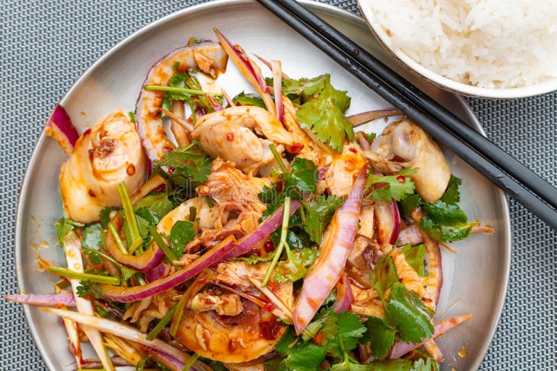 Mouth-watering Chicken or Drooling Chicken with Rice at Horizontal ...