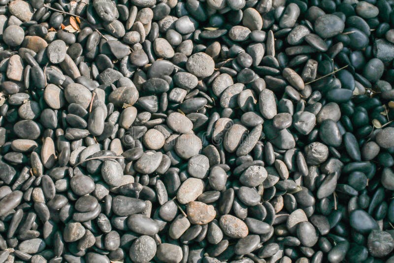 Top View of Multi-colored Pebbles Background on the Floor. Stock Image ...