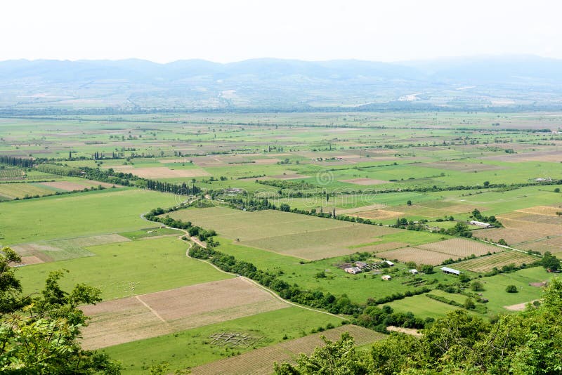 Top View Multi-colored Rectangular Fields and Vineyards in Alazani ...