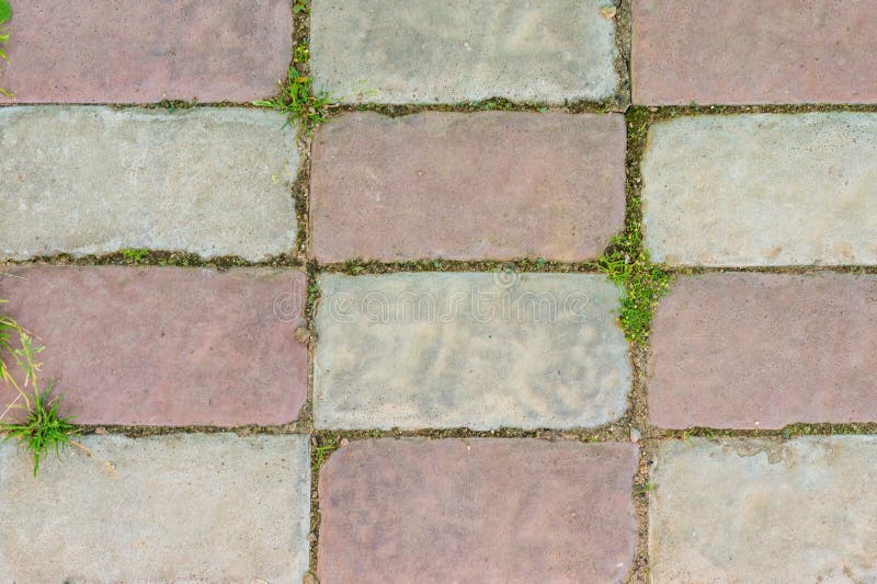 Top View of Multicoclored Garden Tile with Grass Stock Photo - Image of ...