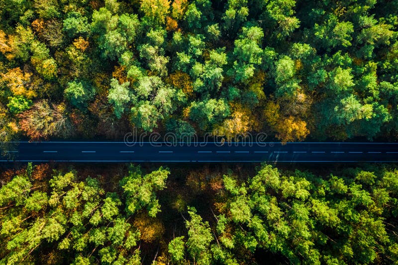 Top View of Multicolored Forest and Black Road in Autumn Stock Photo ...