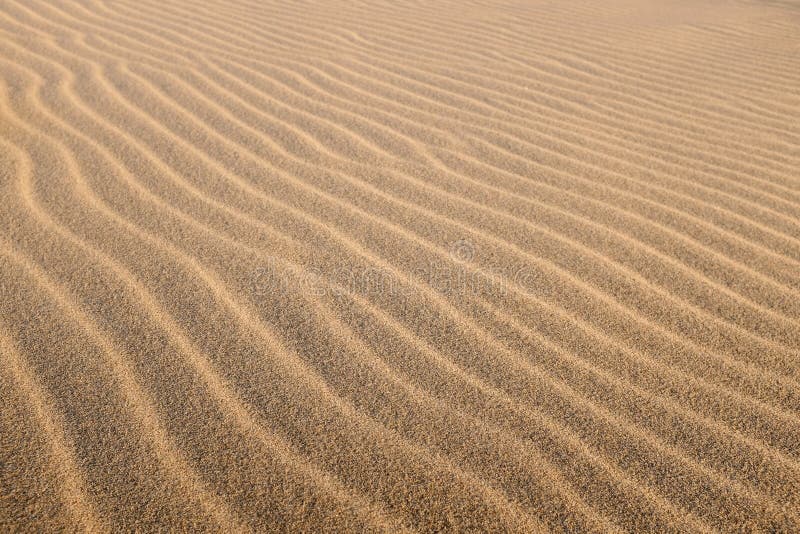 Multiple Undulated Waves Patterns on Textured Sand Dune.. Stock Photo ...