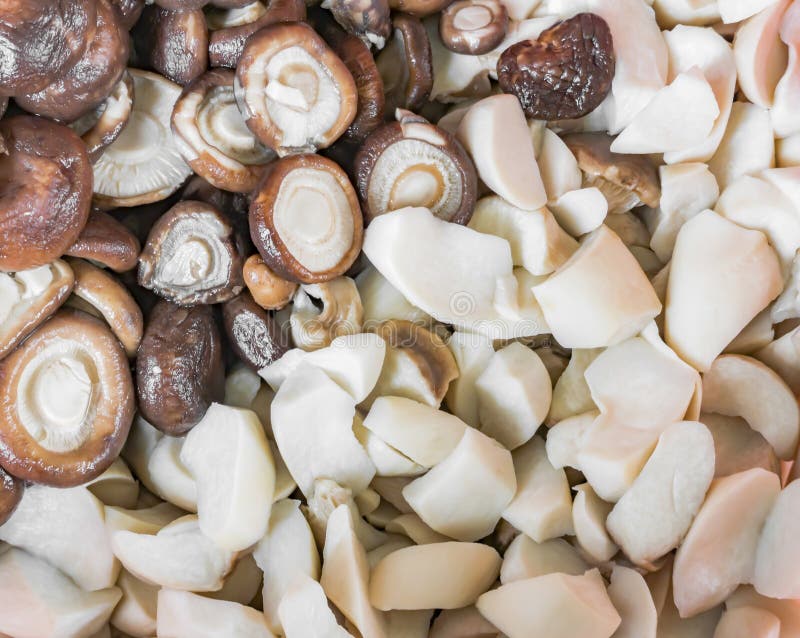 Top view of mushrooms. stock photo. Image of japanese - 93727968