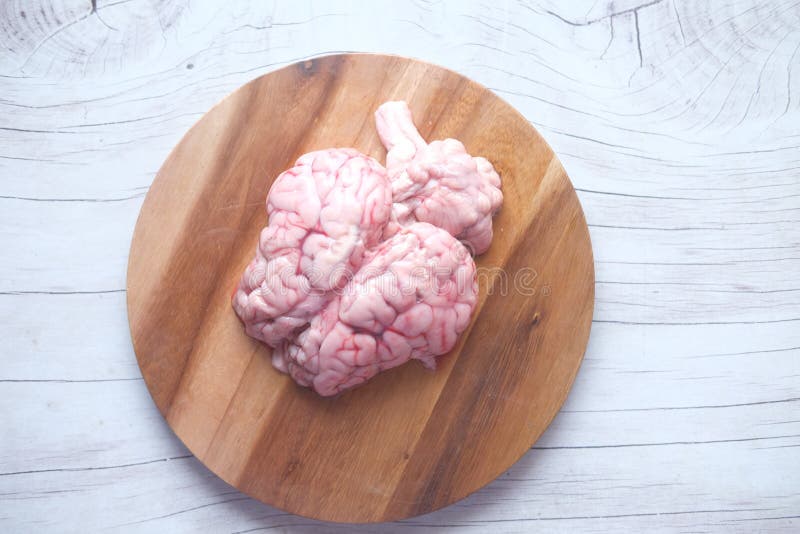 Top View of Mutton Brain on a Chopping Board Stock Photo - Image of ...