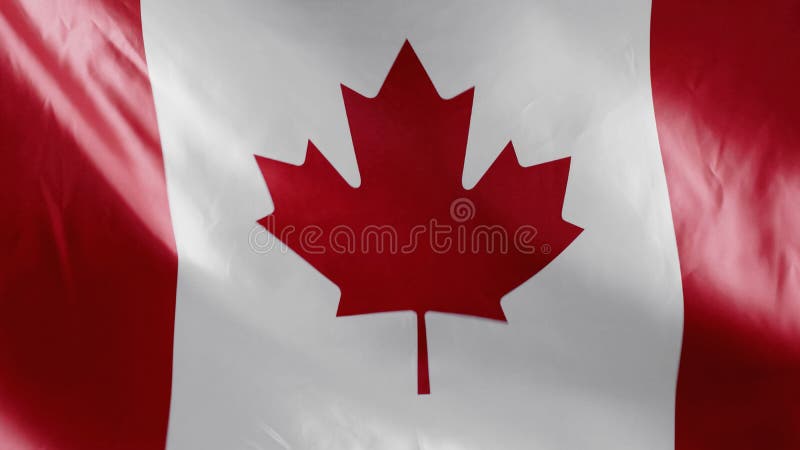 Top View of National Canadian Flag Stock Image - Image of patriotic ...