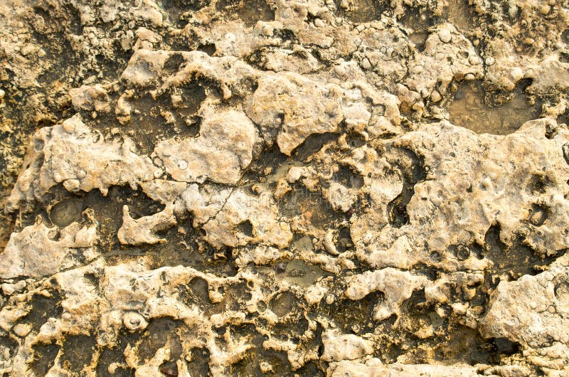 Top View of the Natural Background of Yellow Limestone Stock Image ...