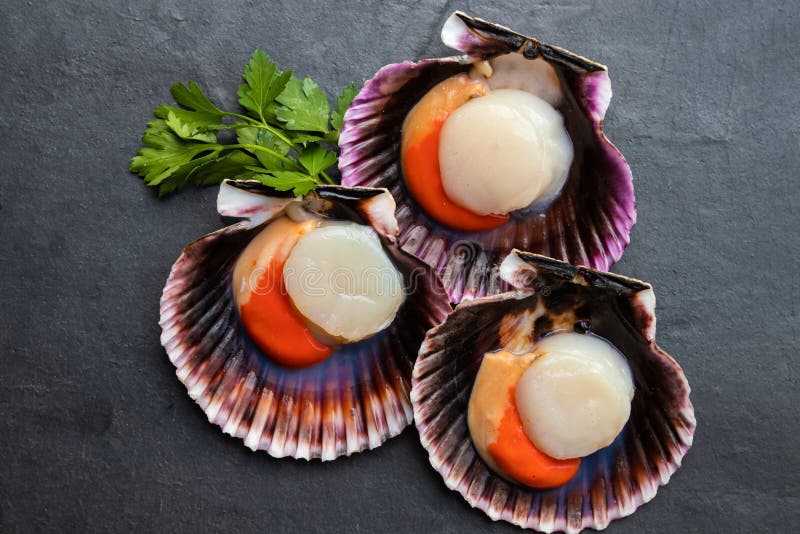 Natural Scallops on Background Stock Photo - Image of natural ...