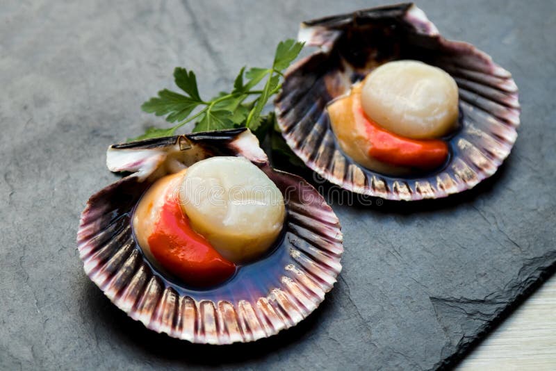 Natural Scallops with Parsley Stock Image - Image of menu, seafood ...