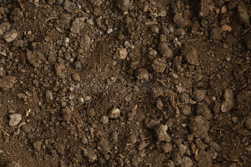 Top View Natural Soil. High Quality Beautiful Photo Concept Stock Photo ...