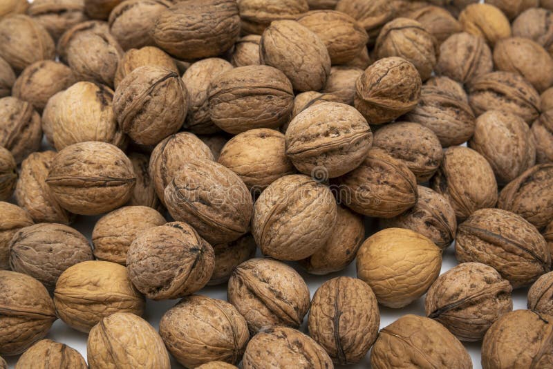 Natural walnut photo stock image. Image of ingredient - 182971627