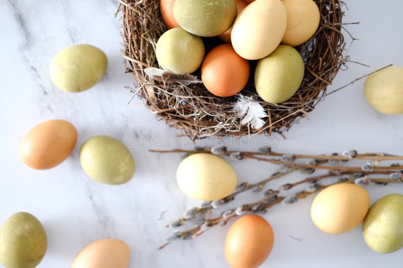 Top View of a Nest of Twigs Inside with Yellow, Green and Light Green ...