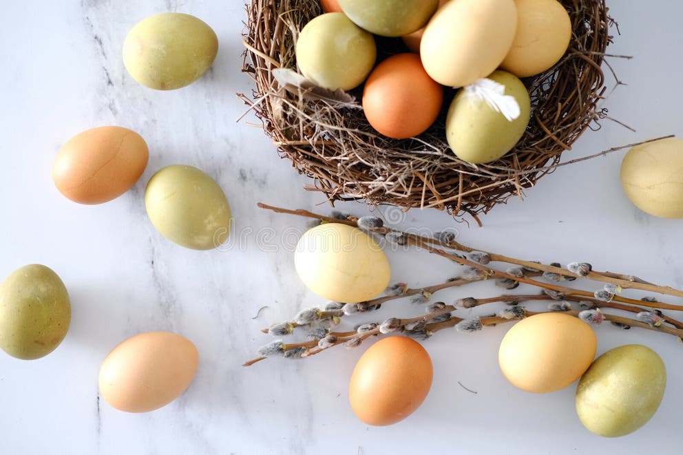 Top View of a Nest of Twigs Inside with Yellow, Green and Light Green ...