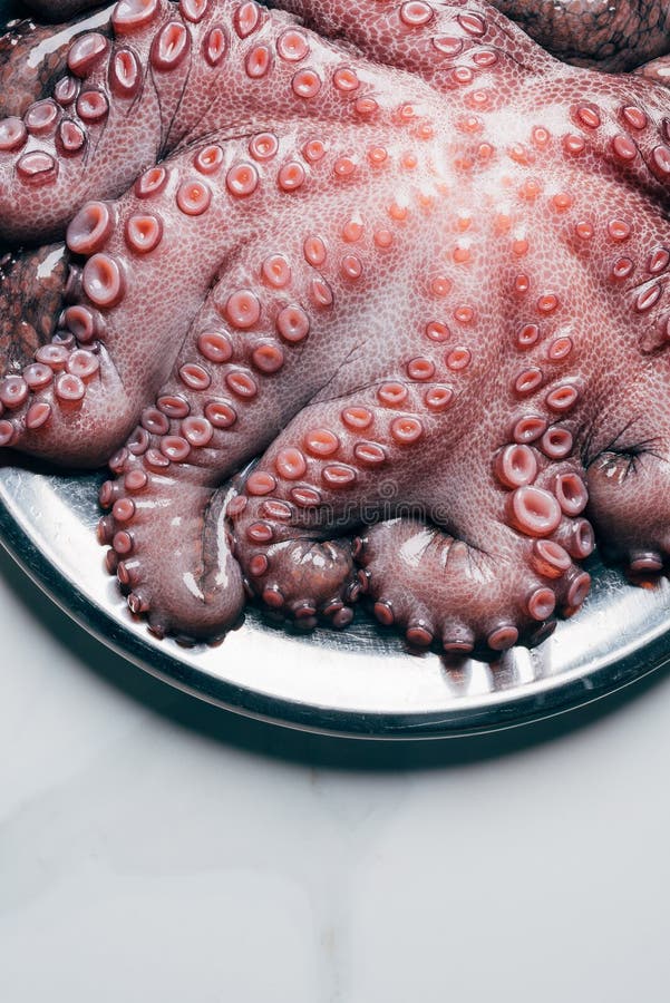 Top View of Raw Octopus Tentacles with Ice Cubes on Rusty Stock Image ...