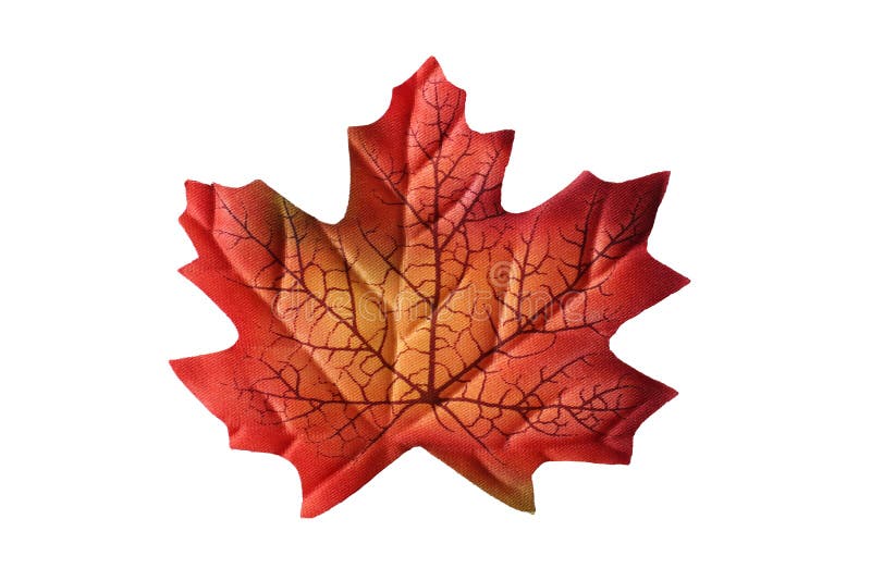Top View on One Autumn Leaf. a Multicolored Maple Leaf Made of F Stock ...