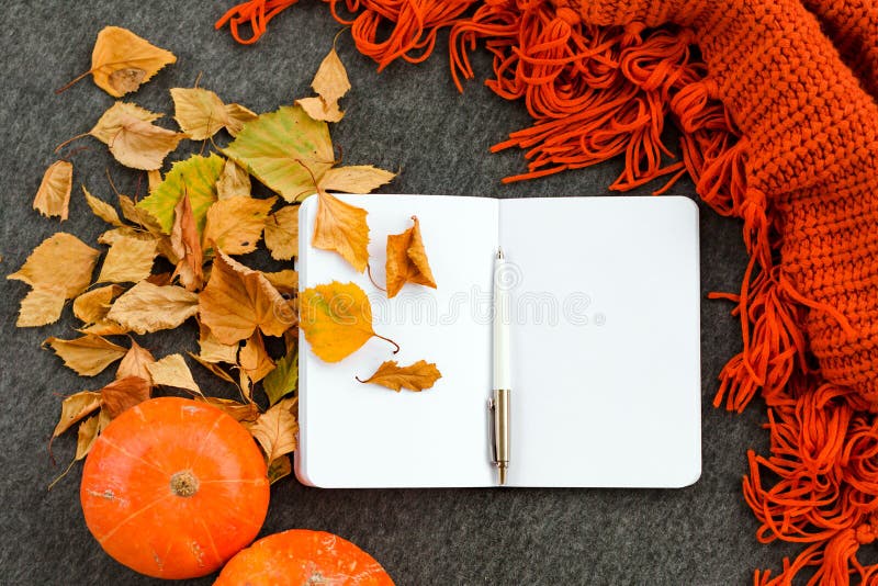 Autumn Staf Stock Photos - Free & Royalty-Free Stock Photos from Dreamstime