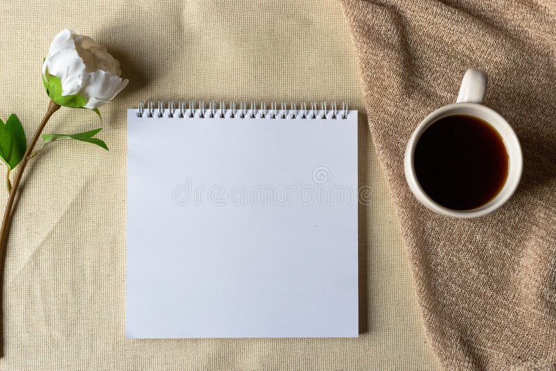 Top View of an Open Notebook with Blank Pages Stock Photo - Image of ...