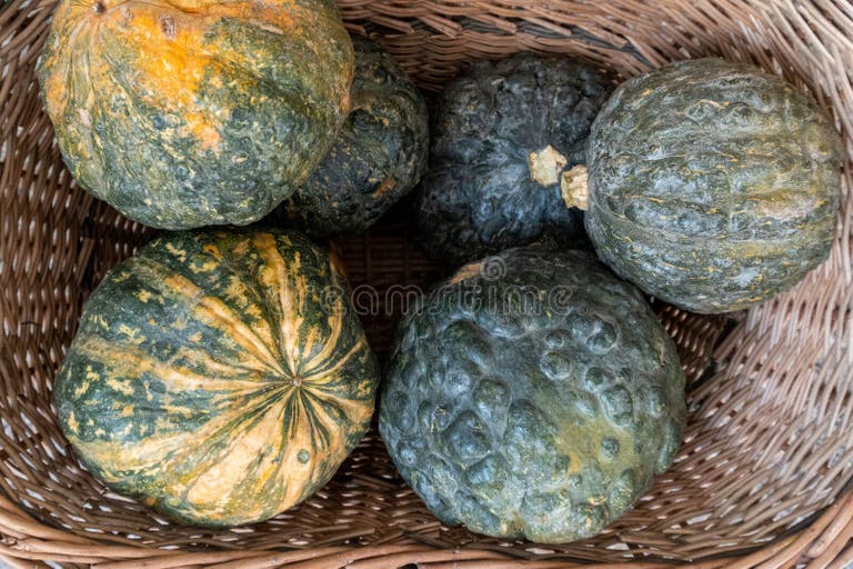 Top View of Organic Lumpy Vegetables in a Thatch Basket Stock Photo ...