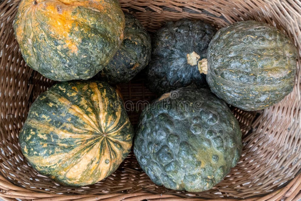 Top View of Organic Lumpy Vegetables in a Thatch Basket Stock Photo ...