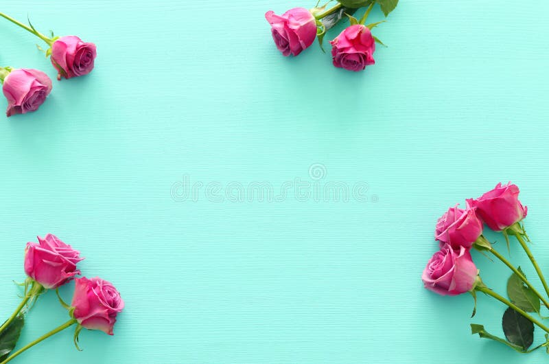 Top View of Over Pink Roses Flowers. Flat Lay Stock Photo - Image of ...