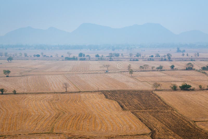 Top View of Paddy Field in Kanchanaburi Stock Photo - Image of asia ...