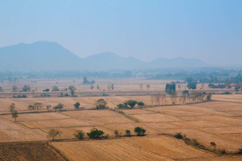 Top View of Paddy Field in Kanchanaburi Stock Photo - Image of farmland ...