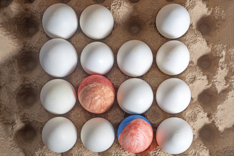 Egg Carton Crafts Ideas Adults Stock Photos - Free & Royalty-Free Stock ...