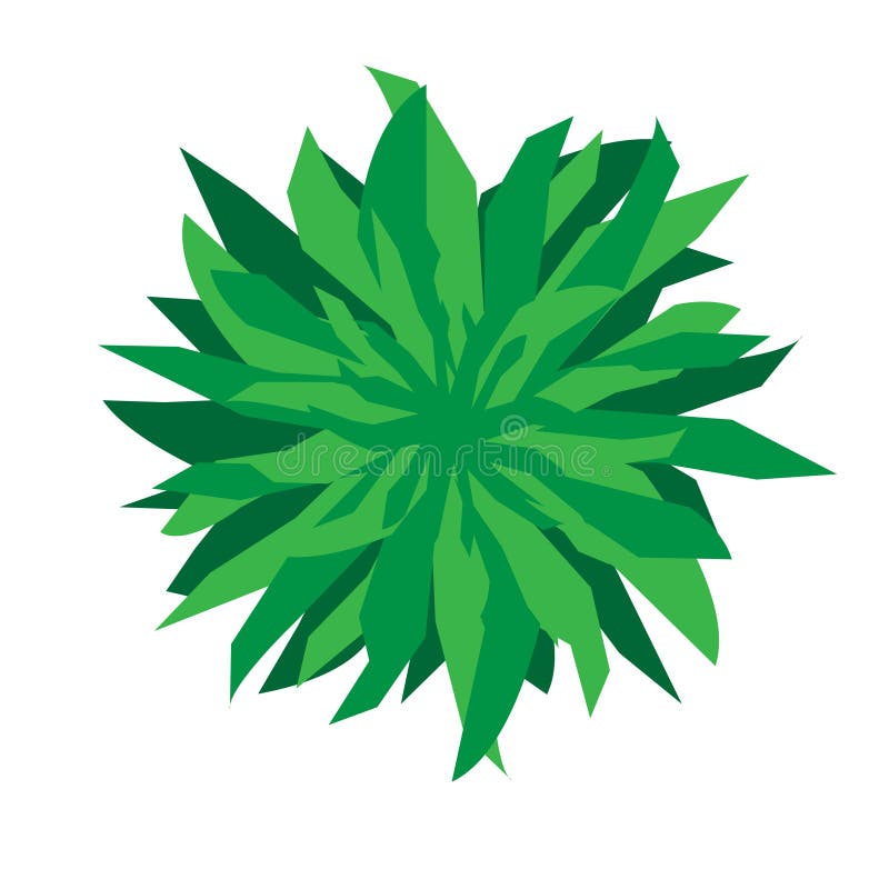 Top View Palm Leaves Tree Isolated on White Background. Vector ... Top View Palm Leaves Tree Isolated on White Background. Vector ...