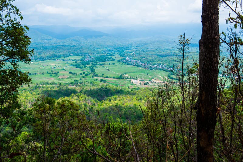 Top view of Pan city stock image. Image of landmark - 186141905