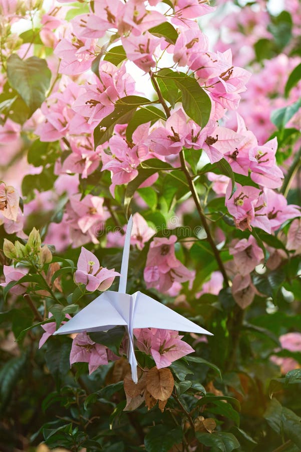 175 Japanese Paper Crane Tree Stock Photos - Free & Royalty-Free Stock ...