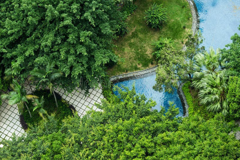 Top view of park stock photo. Image of tree, fountain - 54941030