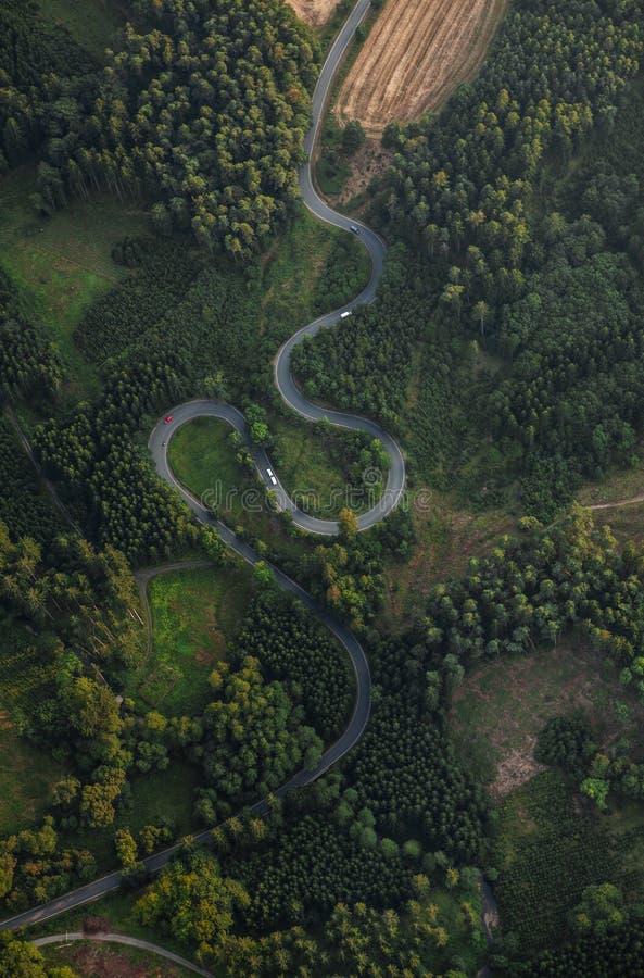 Top View of the Path through the Trees Stock Photo - Image of grass ...