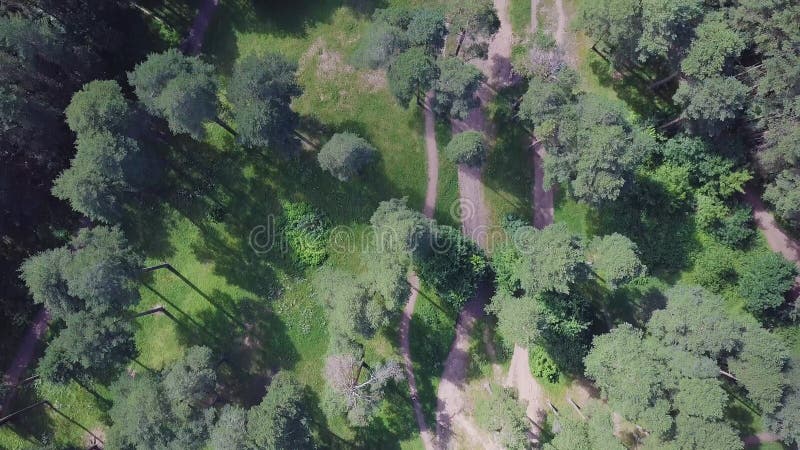 Top View of the Path through the Trees. Clip Stock Image - Image of ...
