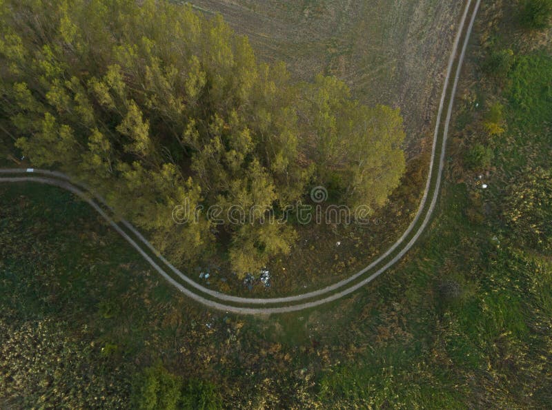 Top View of the Path through the Trees. View from Drone Stock Photo ...