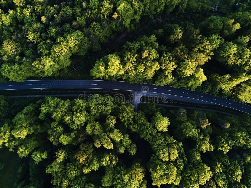 Top View of the Path through the Trees. View from Balloon. Road View ...