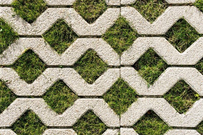 Top View of Paving Slabs with Grass Sprouting through Them. Stock Photo ...