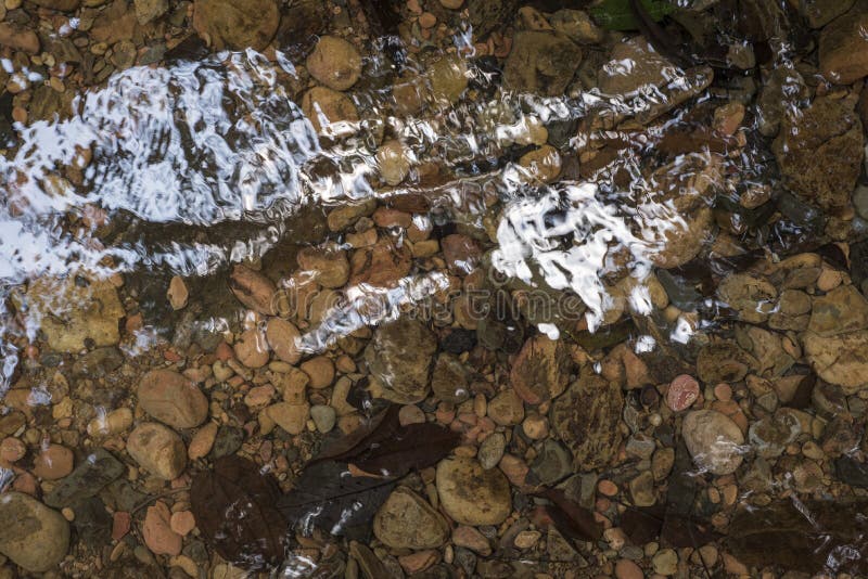 Top View of Pebbles River Bed through Clear Water Stock Photo - Image ...
