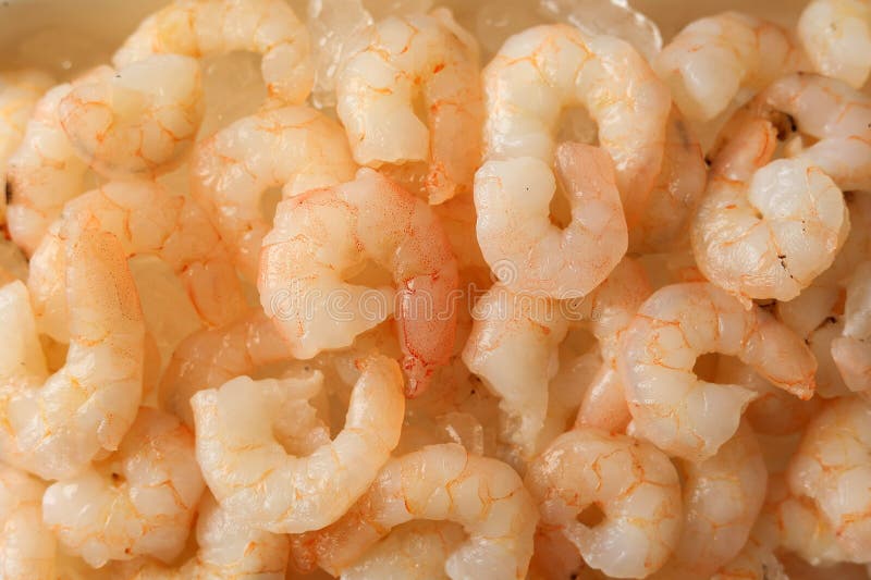 Top View Peeled Fresh Raw Prawn Stock Image - Image of healthy, cooked ...