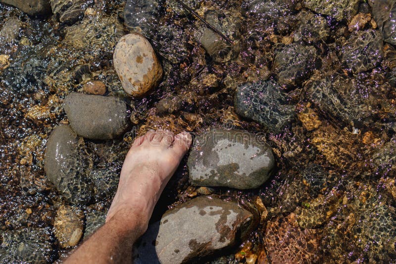 Top View of a Person& X27;s Foot Standing on Rocks in a Stream Stock ...
