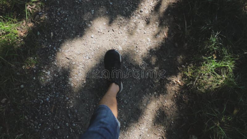 Top View of a Person Walking on a Trail with Grass Along the Edges in a ...