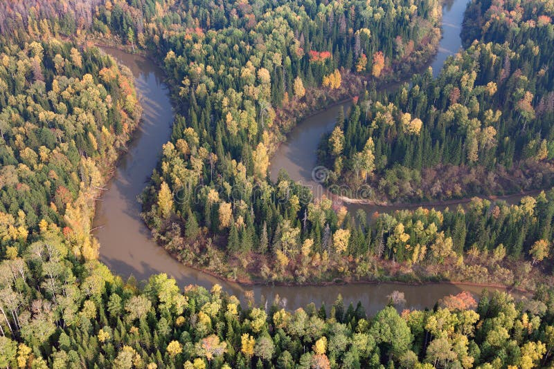 Top View Perspective of Autumn Forest and River Stock Photo - Image of ...