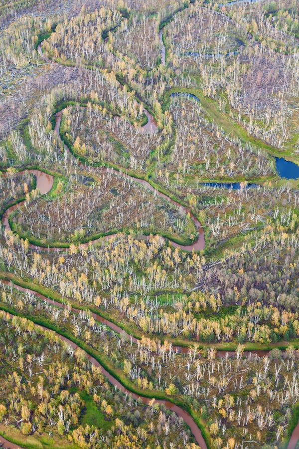 Top View Perspective of Autumn Forest and River Stock Image - Image of ...