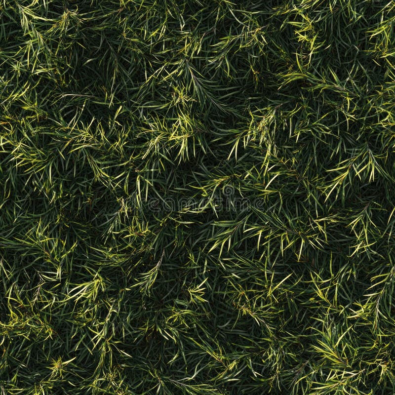 Top View Photo of Lush Grass with Scattered Pine Needles, Seamless ...