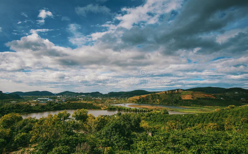 Top View Photography Of Green Forest Picture. Image: 109915499