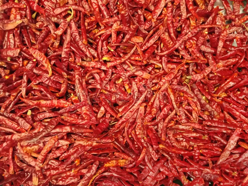 Top View Pile Dry Chili Pepper for Background Stock Image - Image of ...