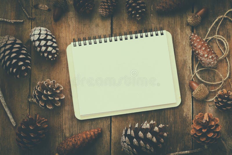 Top View of Pine Cones and Blank Open Notebook Stock Photo - Image of ...