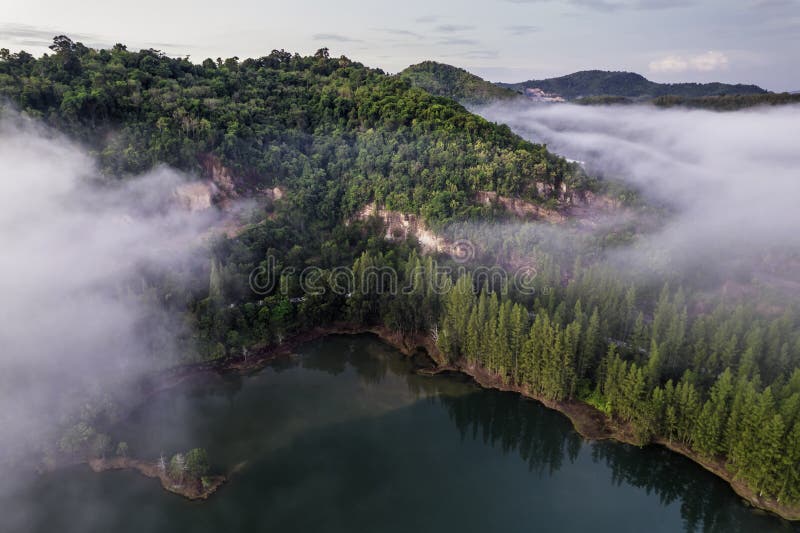 Top View of Pine Tree Forest beside the River Stock Image - Image of ...